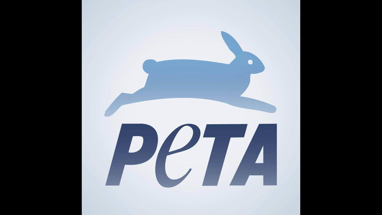 PETA claims animal cruelty in TV program - LocalNews8.com - KIFI
